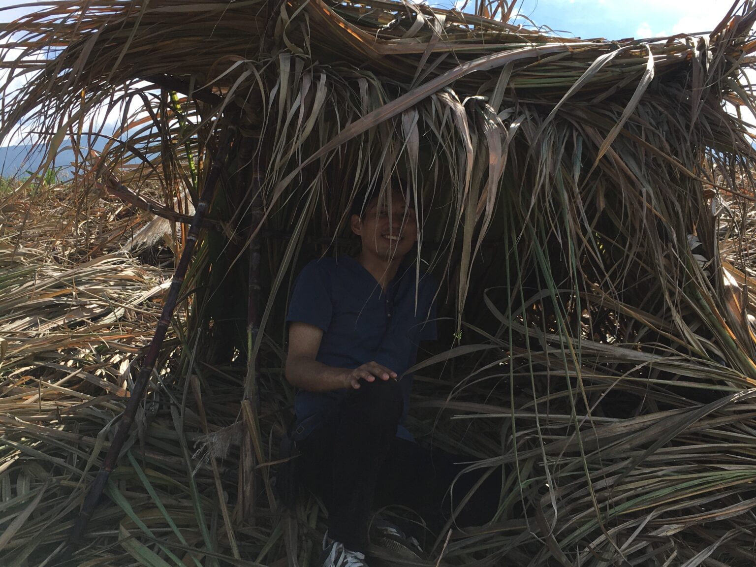 Alter Trade Japan（オルター･トレード･ジャパン）｜交易を通じて生産者と消費者をつなぐ会社｜1枚の写真から「サトウキビ畑の ...