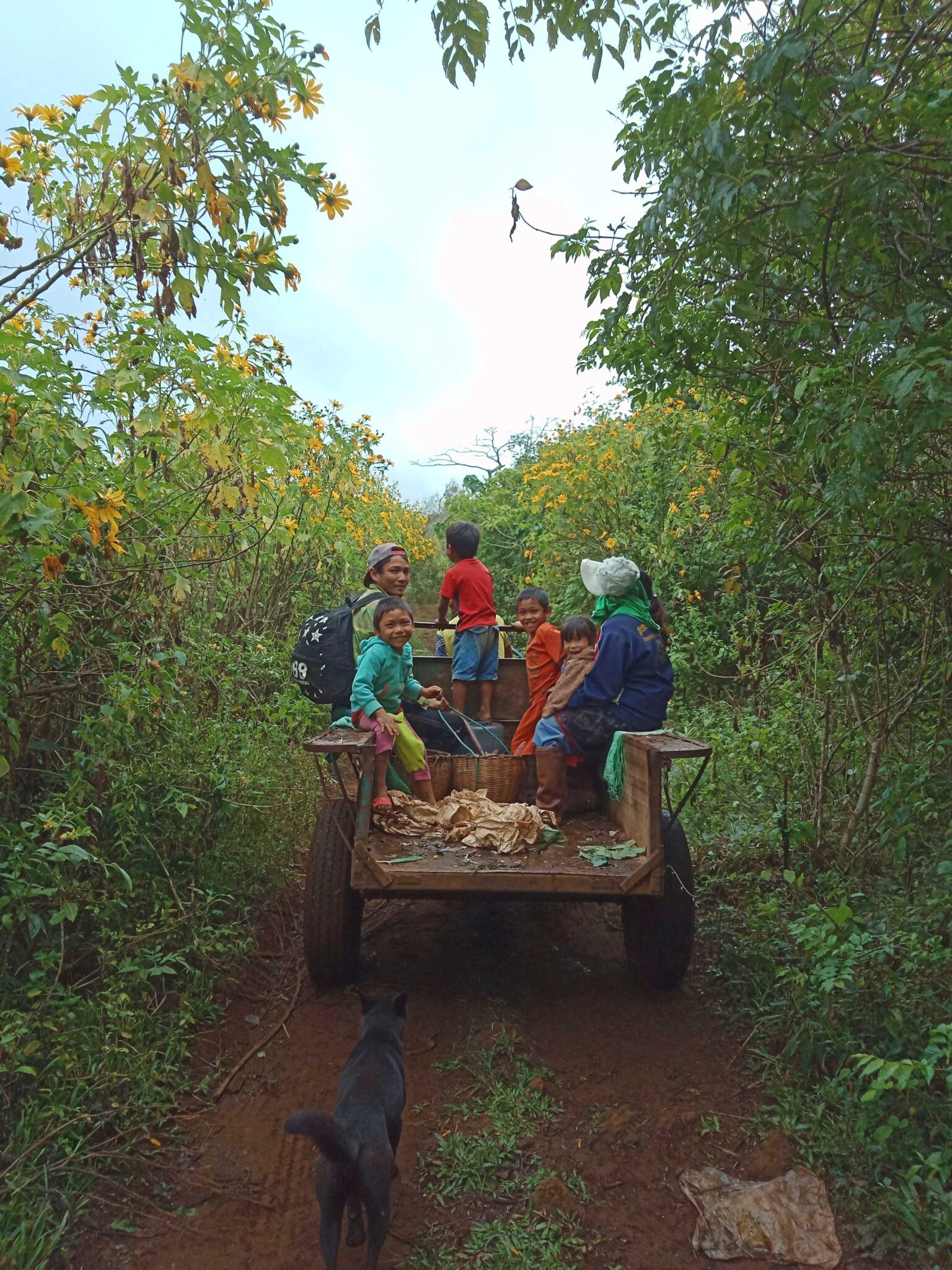 Alter Trade Japan（オルター･トレード･ジャパン）｜交易を通じて生産者と消費者をつなぐ会社｜1枚の写真から「にこにこ顔で行く先 ...