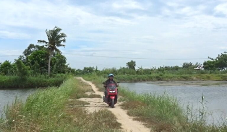 Alter Trade Japan（オルター･トレード･ジャパン）｜交易を通じて生産者と消費者をつなぐ会社｜【動画】エコシュリンプを支える ...