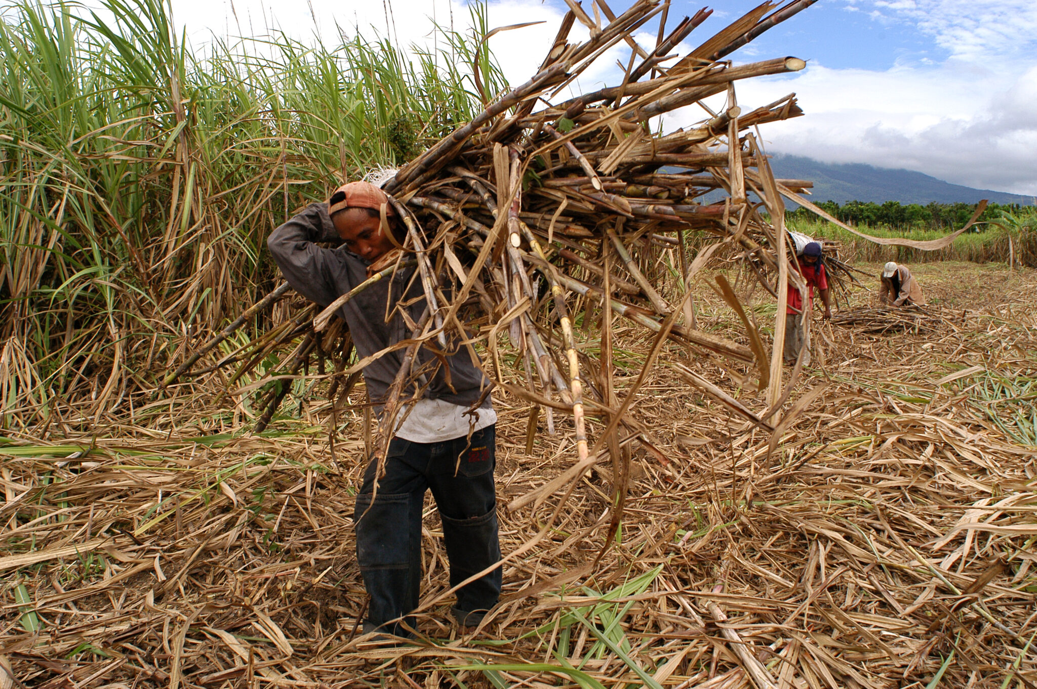 Alter Trade Japan（オルター･トレード･ジャパン）｜交易を通じて生産者と消費者をつなぐ会社｜オーガニック？フェアトレード？マス ...