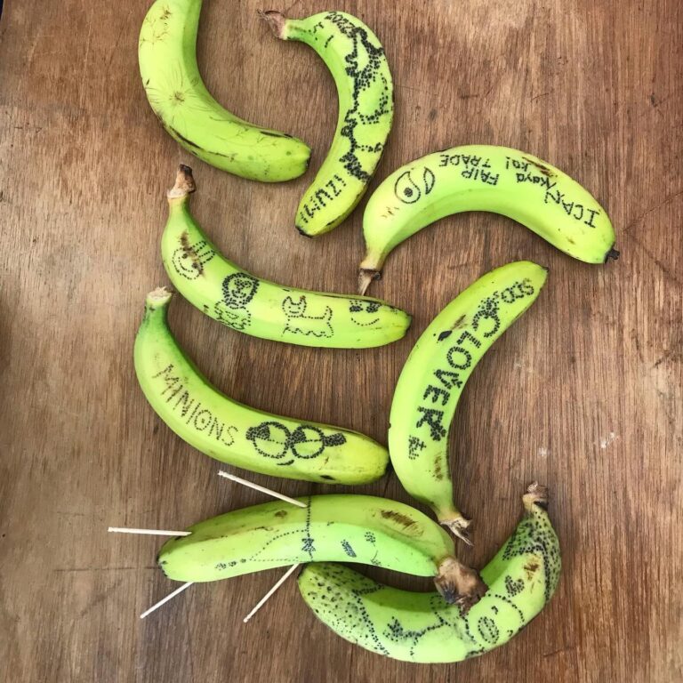 Alter Trade Japan（オルター･トレード･ジャパン）｜交易を通じて生産者と消費者をつなぐ会社｜お店レポート”顔のみえる店 ...